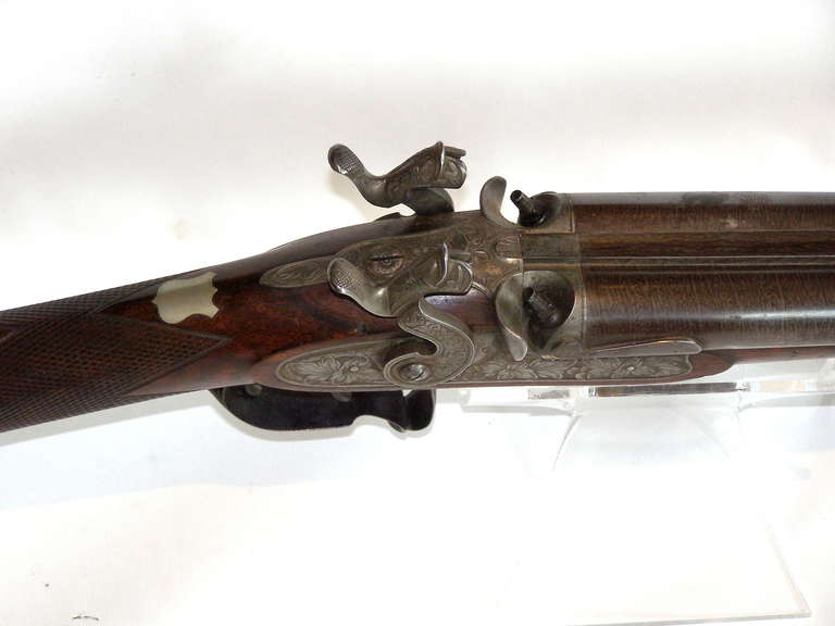 Fancy Belgian Double Barrel Percussion Shotgun - Paul Kleinwald Art ...
