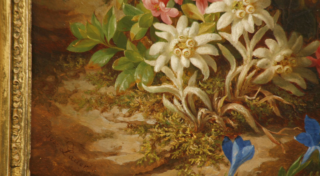 Josef Lauer, Alpine Flowers - Paul Kleinwald Art & Antiques