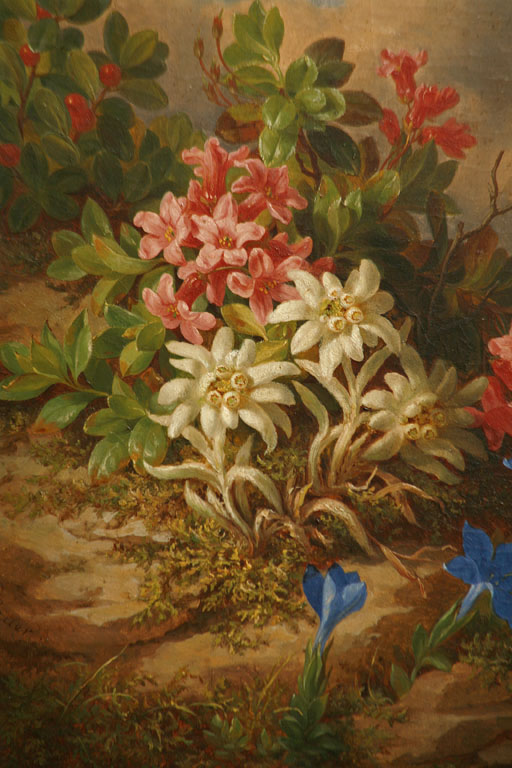Josef Lauer, Alpine Flowers - Paul Kleinwald Art & Antiques