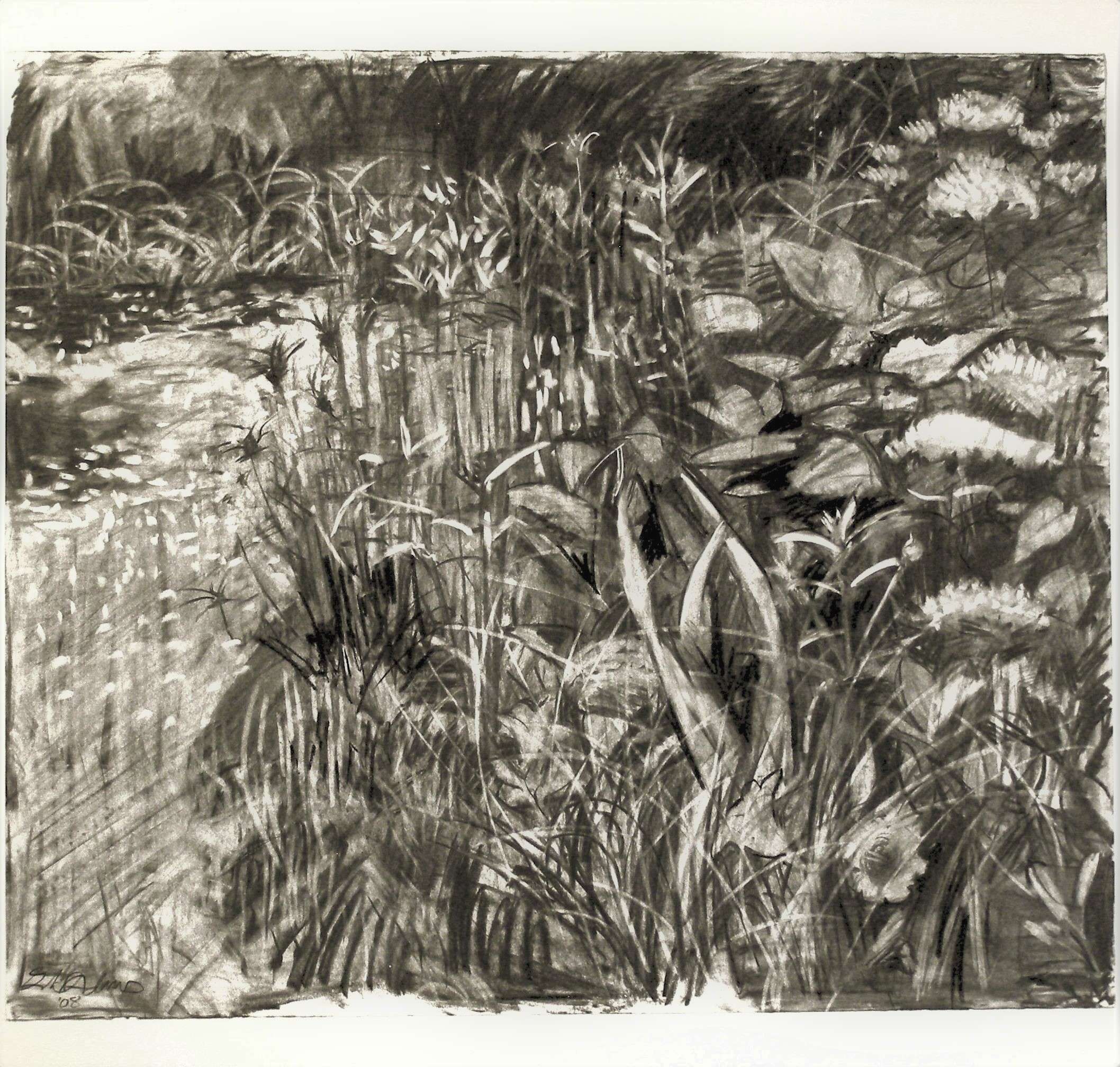 Gabriel Edward Adams, Garden With Monarda, Charcoal Drawing - Paul ...